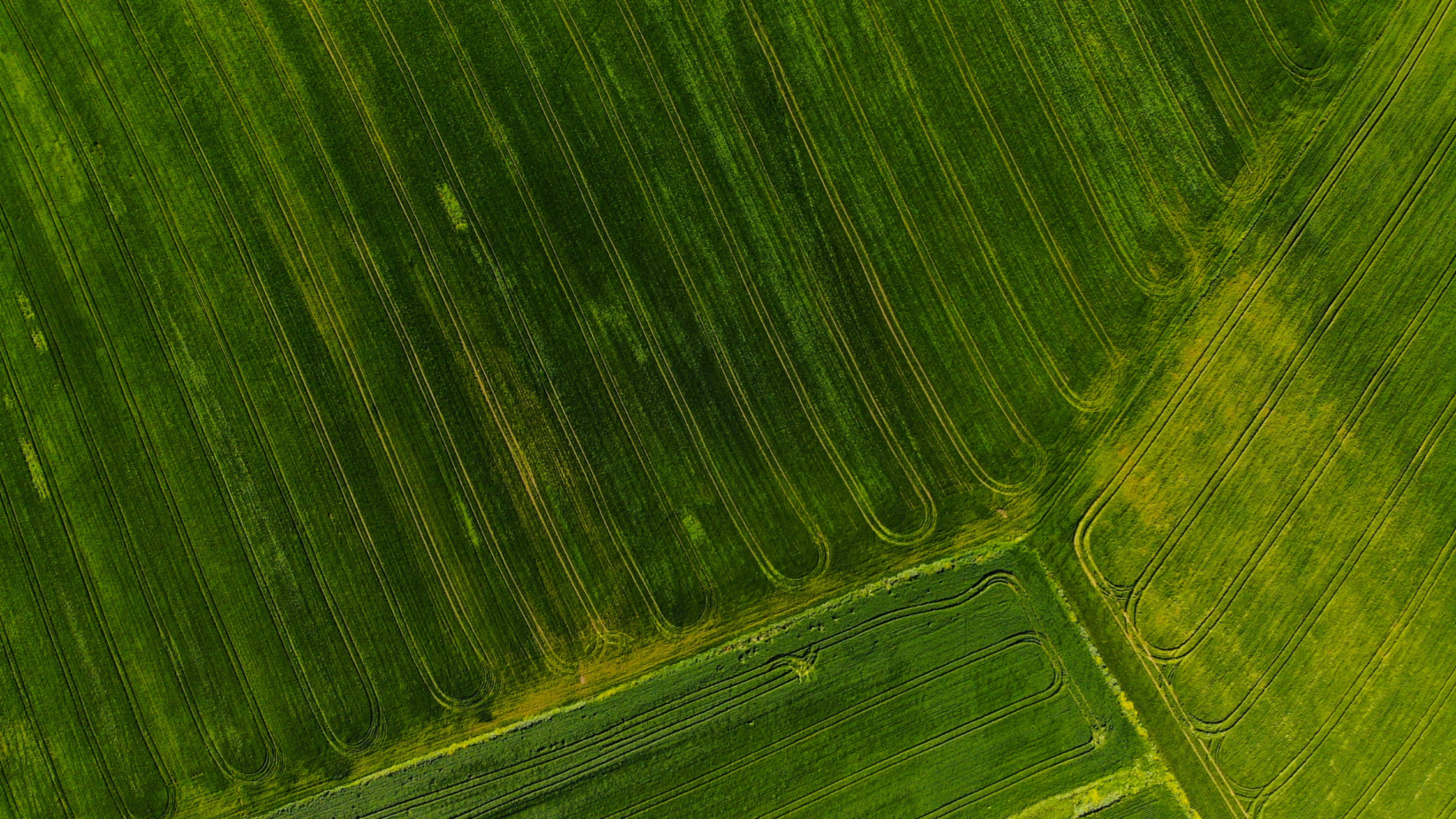 Our Industries | Roush