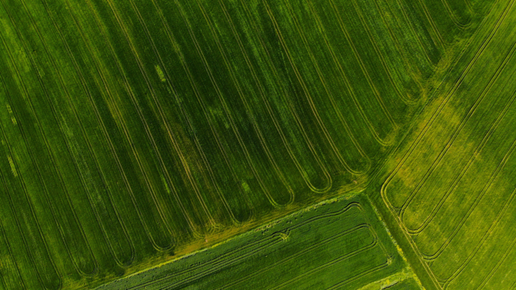 Our Industries | Roush